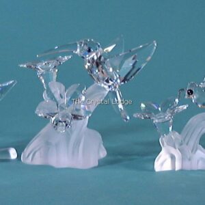 SWAROVSKI HUMMINGBIRD 166184 - The Crystal Lodge | Specialists in ...