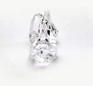 SWAROVSKI SWAN COUPLE (2020 ISSUE) 5493713 (For information only - not ...